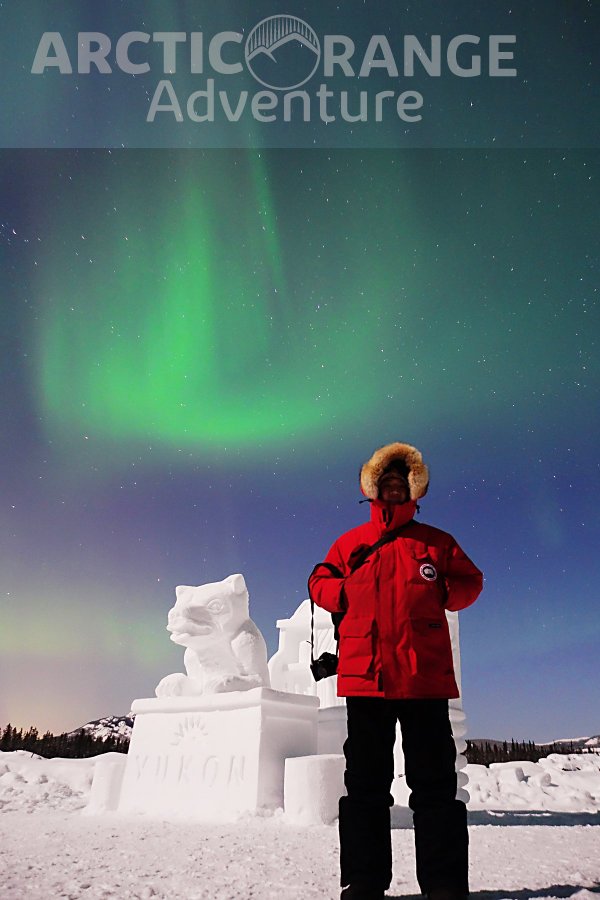 Arctic Day: Aurora Borealis Viewing | night | Arctic Range Adventure