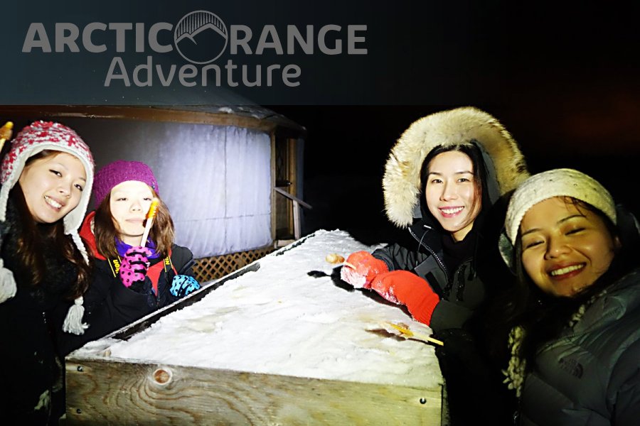 Arctic Day: Aurora Borealis Viewing | night | Arctic Range Adventure