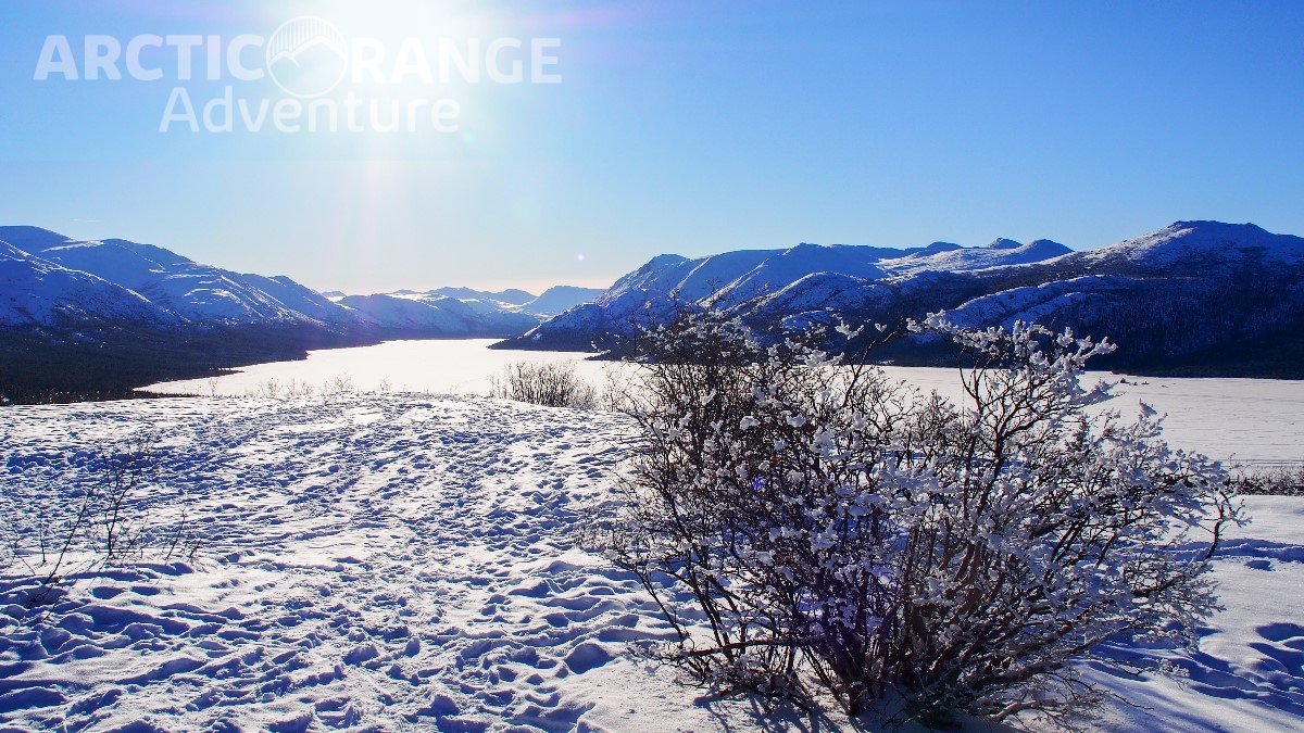 Beautiful Yukon Scenery | Arctic Range Adventure