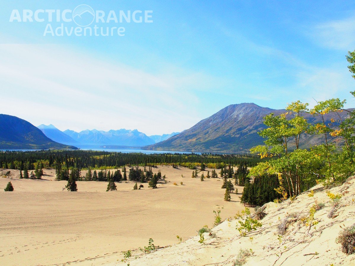 Carcross Desert | Arctic Range Adventure