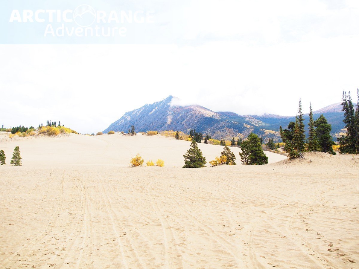 Carcross Desert | Arctic Range Adventure