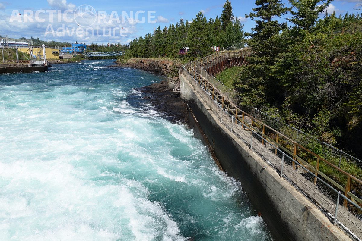 Whitehorse Fish Ladder | Arctic Range Adventure