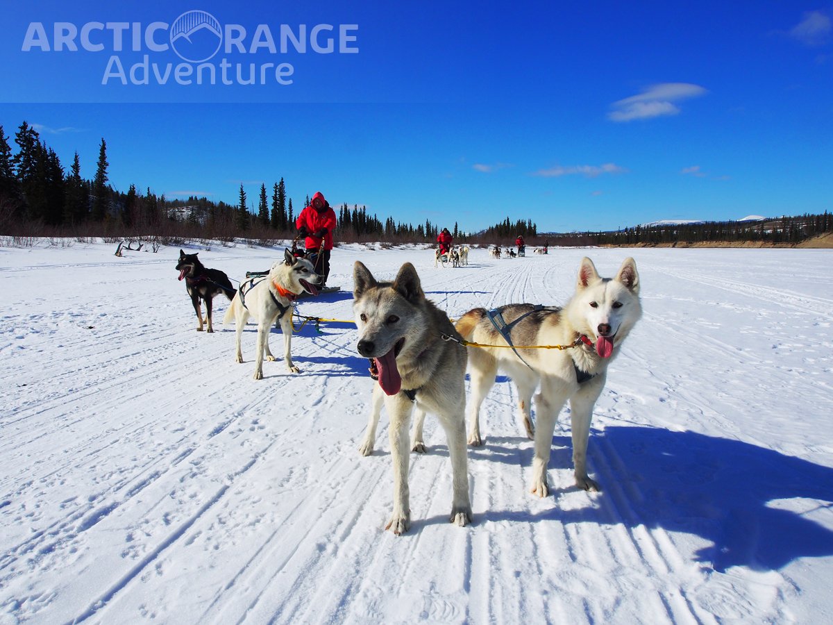Rest stop on trail | Arctic Range Adventure