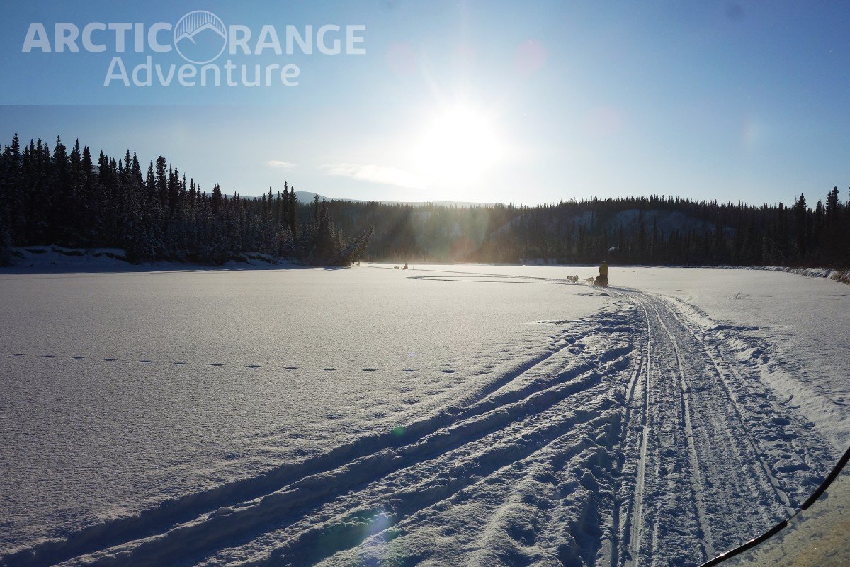 Open Trail | Arctic Range Adventure