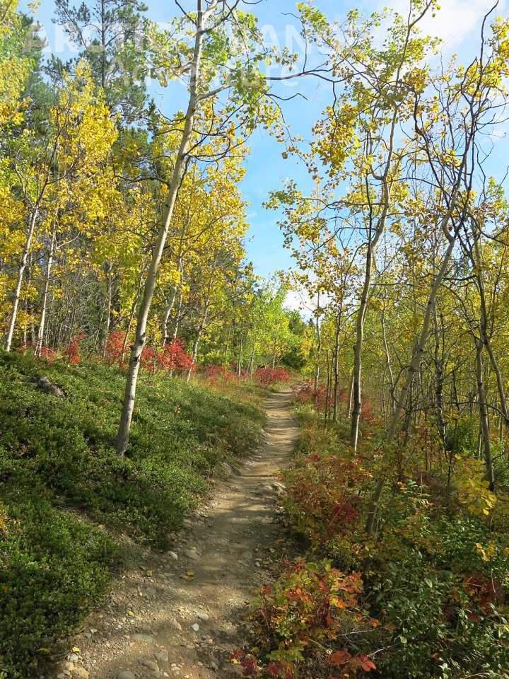 Trail in fall colors | Arctic Range Adventure