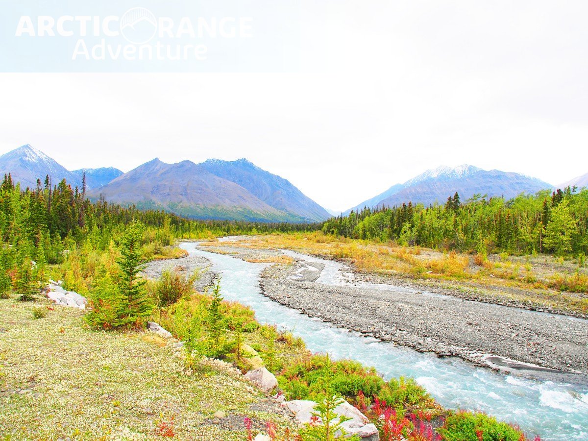 Kluane National Park | Arctic Range Adventure