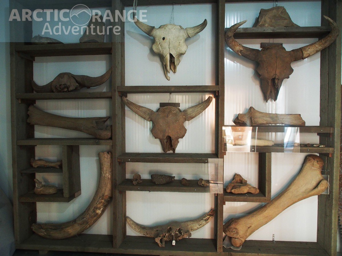 Prehistoric Artifacts | Arctic Range Adventure
