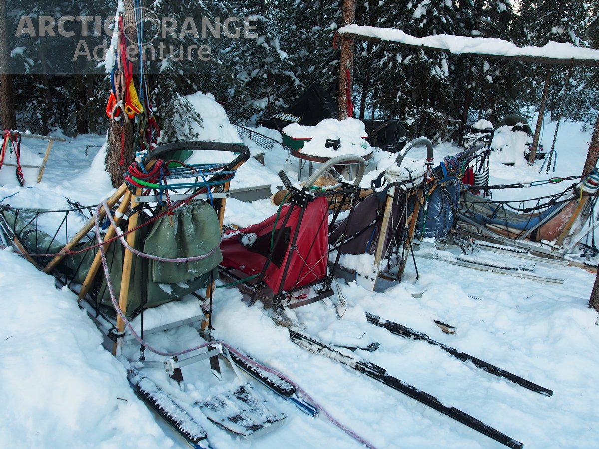 Sleds | Arctic Range Adventure