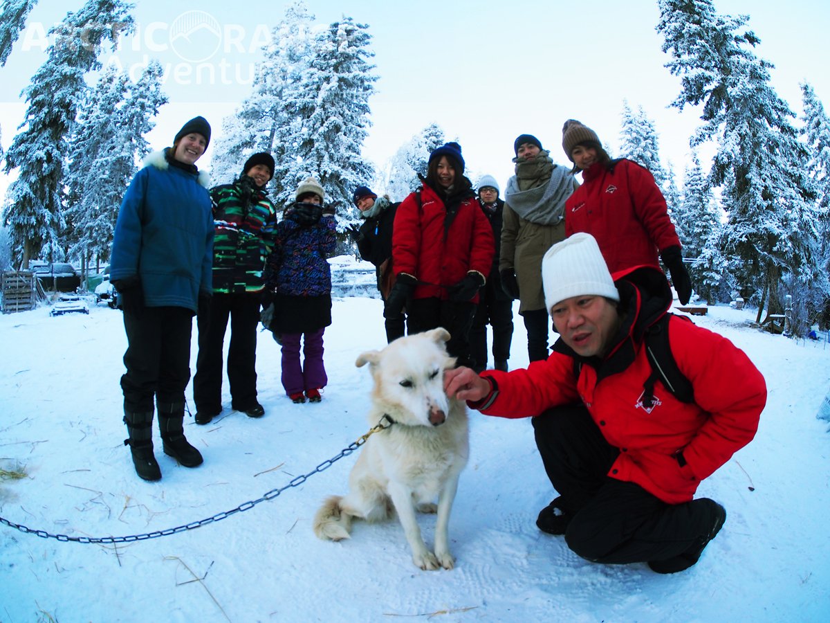 Group at the Dog Kennel | Arctic Range Adventure