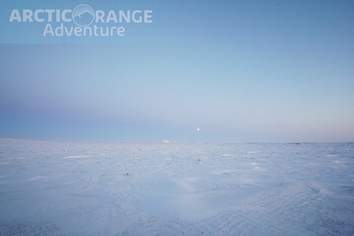 Pingos in Tuktoyaktuk | Arctic Range Adventure